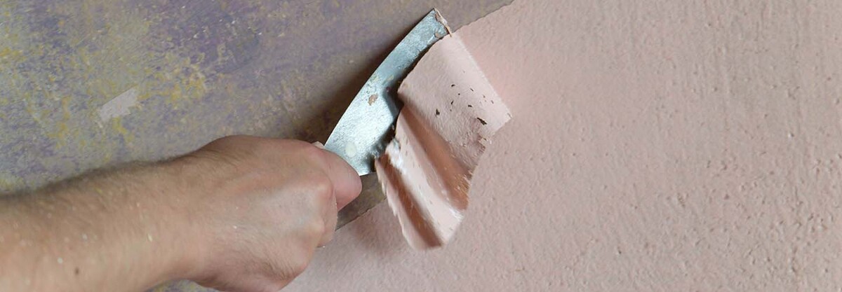 Top 10 Best Rated Paint Strippers near you | Airtasker SG